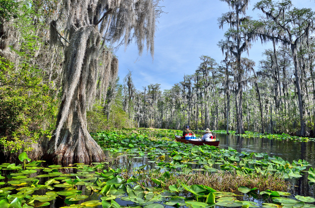 Take a Trip to One of These 4 Georgia National Natural Landmarks - Wade ...